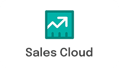 Salesforce - Vertex Computer Systems